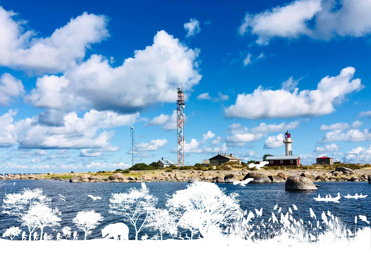 Vaindloo avastusretk — Evente Adventures matkad